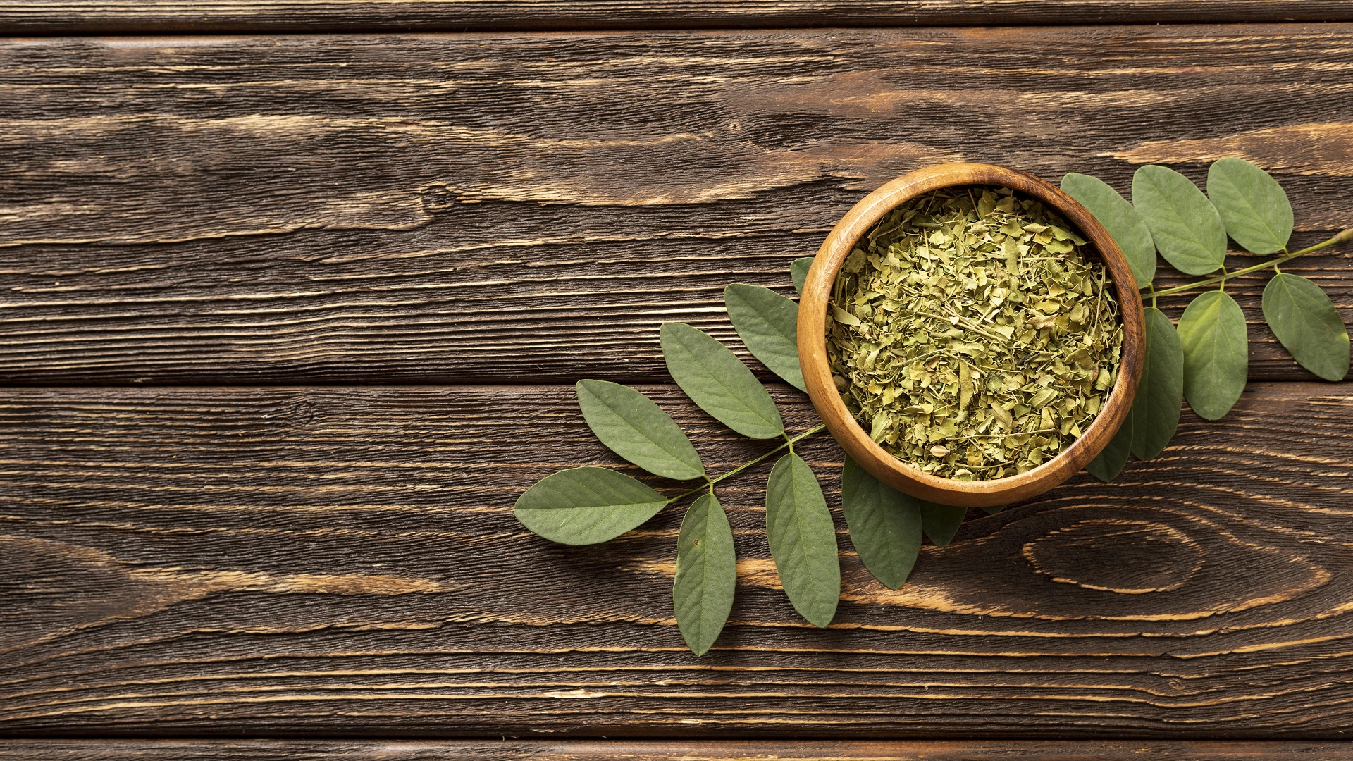 Produção da Erva-Mate no Brasil: Como Plantar, Cuidar e Colher as ...